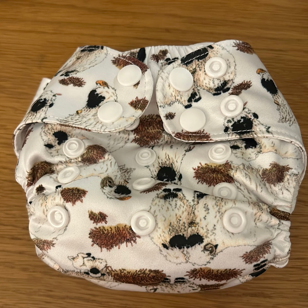 Bear Bott newborn all in two nappy (looks new; 055) – ReNappy